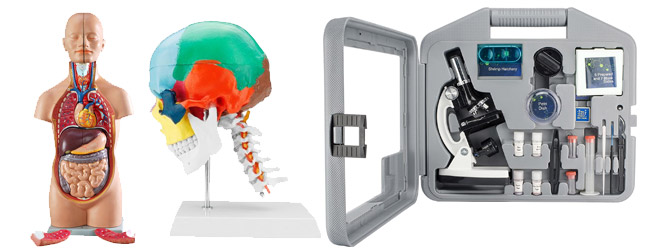 HomePage - Colper Educational Equipment HomePage - Colper Educational Equipment